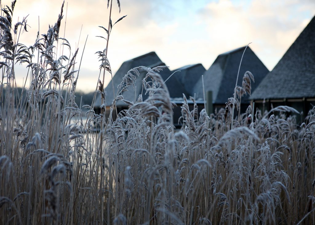 Embracing The Philosophy Of Photography With Jason Lock - Stoic Athenaeum